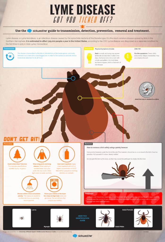 Lyme Disease Infographic - Hilary Topper Blog