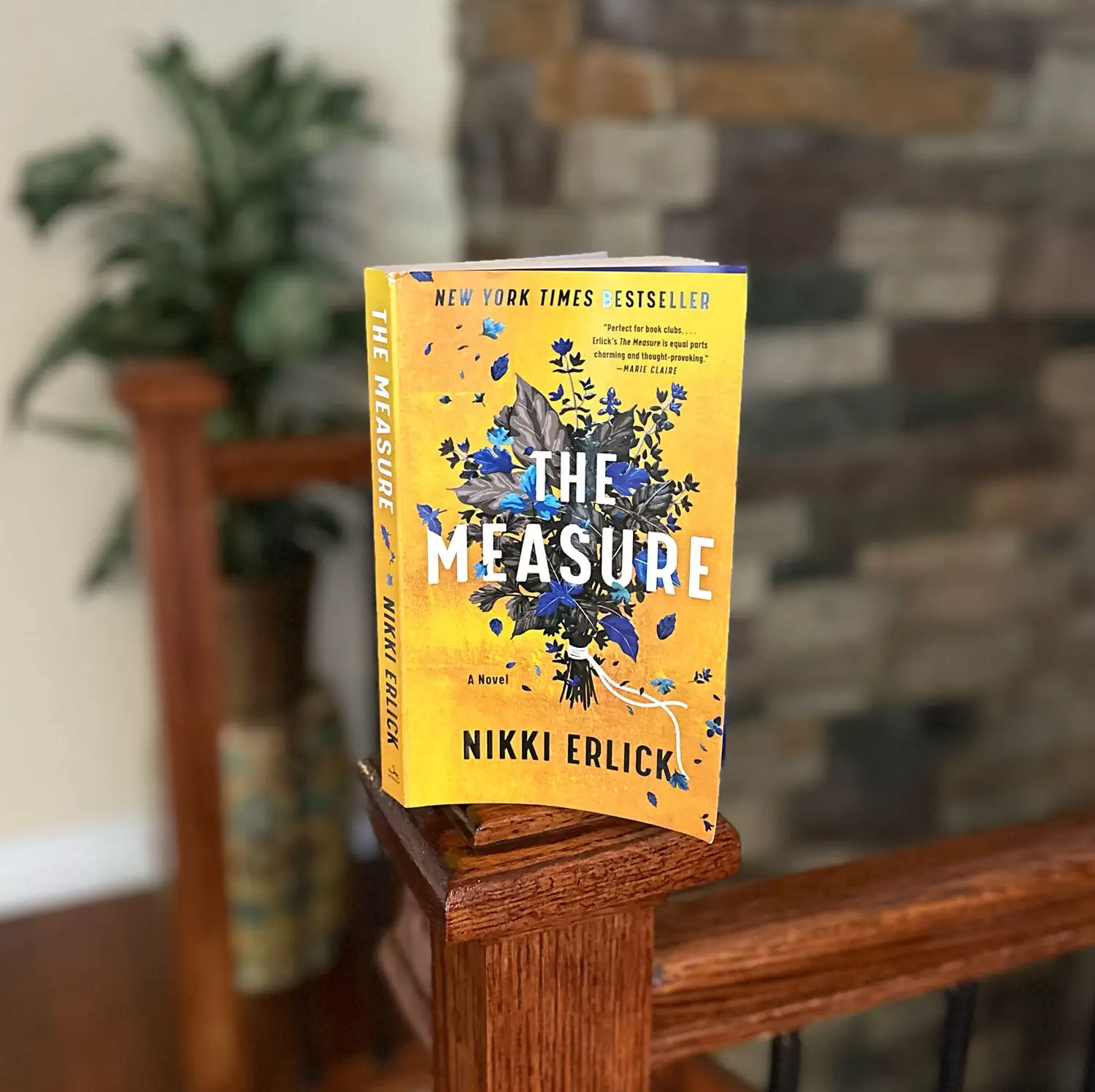 The Measure by Nikki Erlich Book Review - Hilary Topper Blog